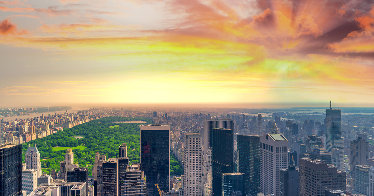 New York Type 3 Processor Branding Licenses - Now Available! - WeCann